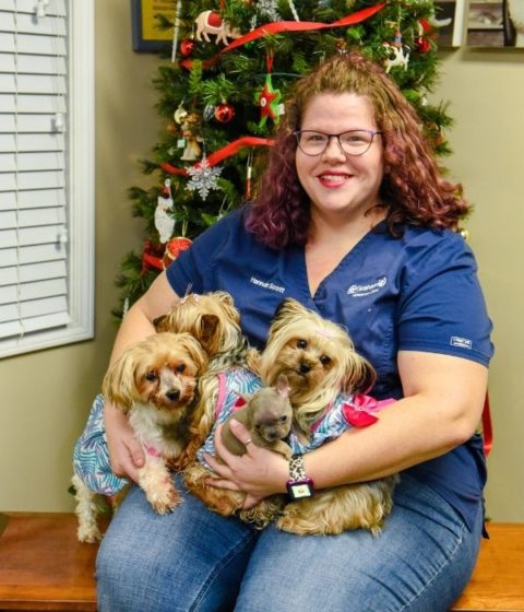 Arthur, IL 61911 Veterinarians | Graham Veterinary Clinic